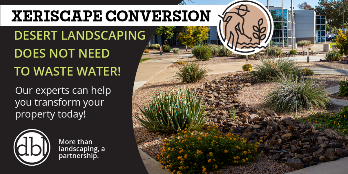 Xeriscape Conversions: Eco-Friendly Landscaping for Water Conservation ...